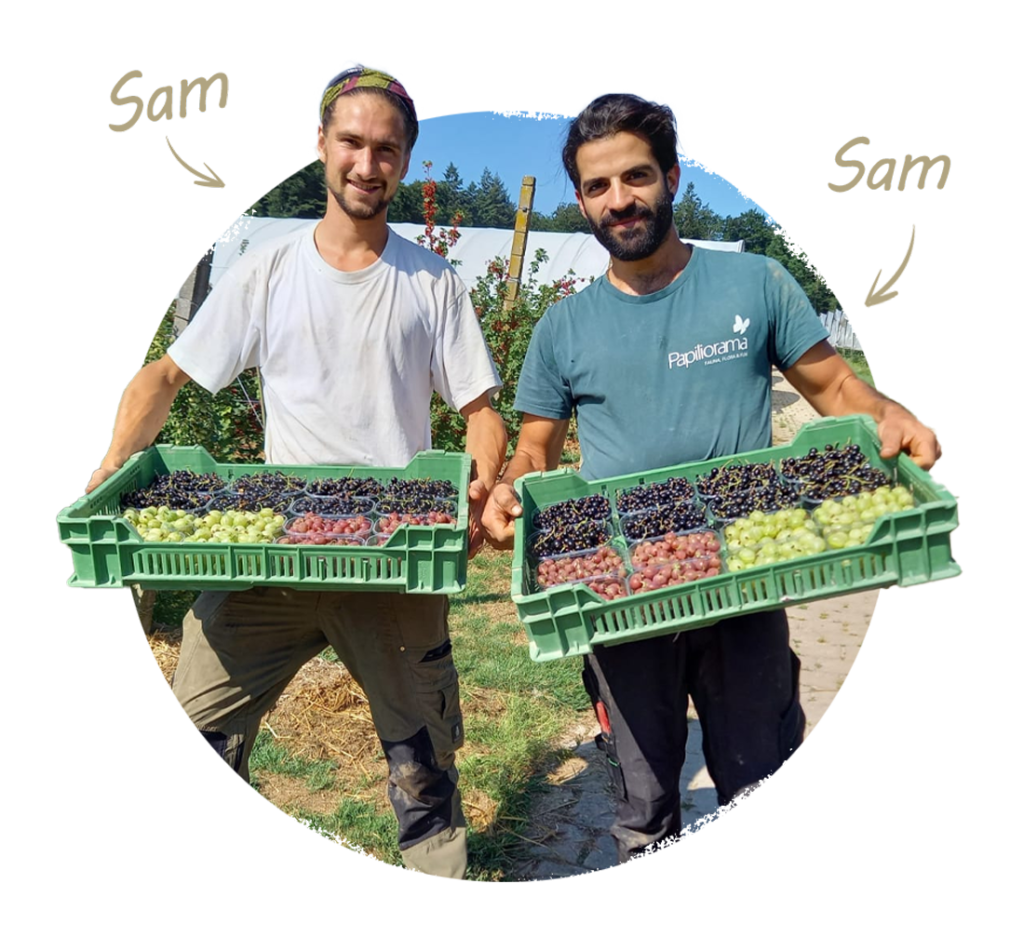 Nos valeurs - Ferme de la Source à Chésopelloz